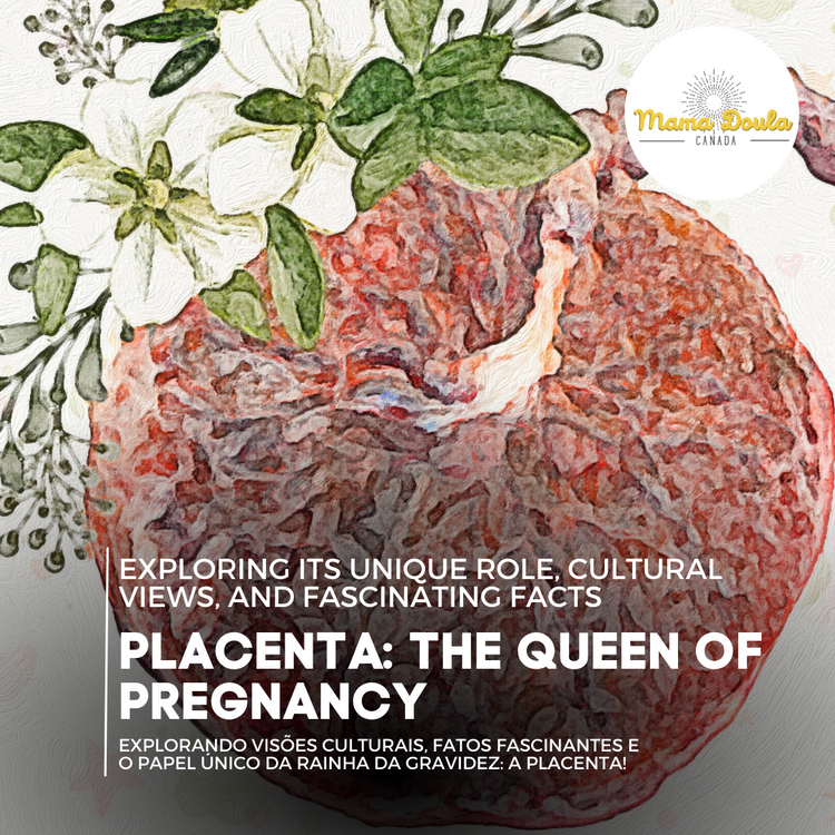 PLACENTA: THE QUEEN OF PREGNANCY! EXPLORING ITS UNIQUE ROLE, CULTURAL ...